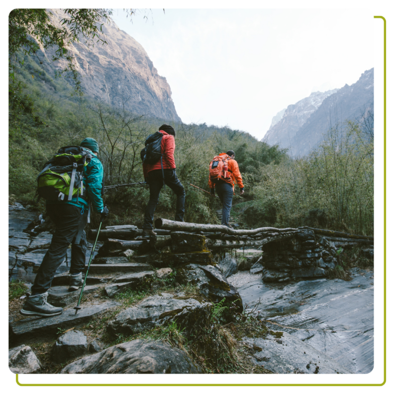 GoodTherapy | Embracing Green Therapy: The Therapeutic Be...