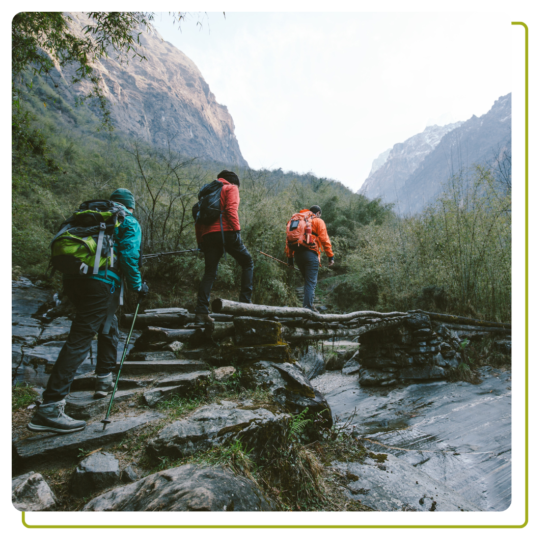 GoodTherapy | Embracing Green Therapy: The Therapeutic Be...