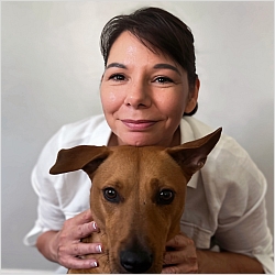 Susan Proudfoot Licensed Clinical Social Worker in