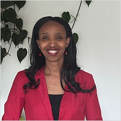 Miraf Kebede Licensed Clinical Social Worker in