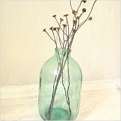 Janet Carson, Licensed Professional Counselor in Keizer, Oregon, 97303