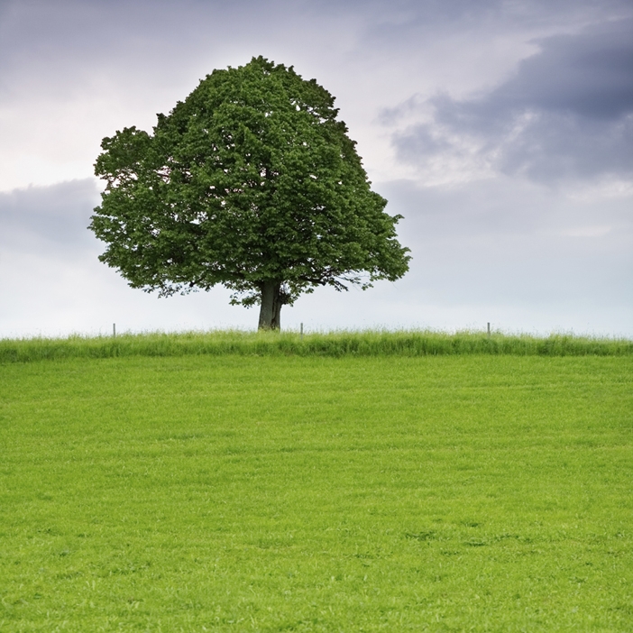 Dr. Matt Stanley Psychologist, Ph.D. in Westlake, Ohio, 44145