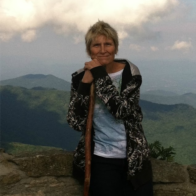 Dina Rose, LCSW in Asheville, North Carolina, 28801