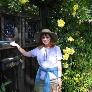 Judye Hess PhD, Licensed Psychologist in Berkeley, California, 94705